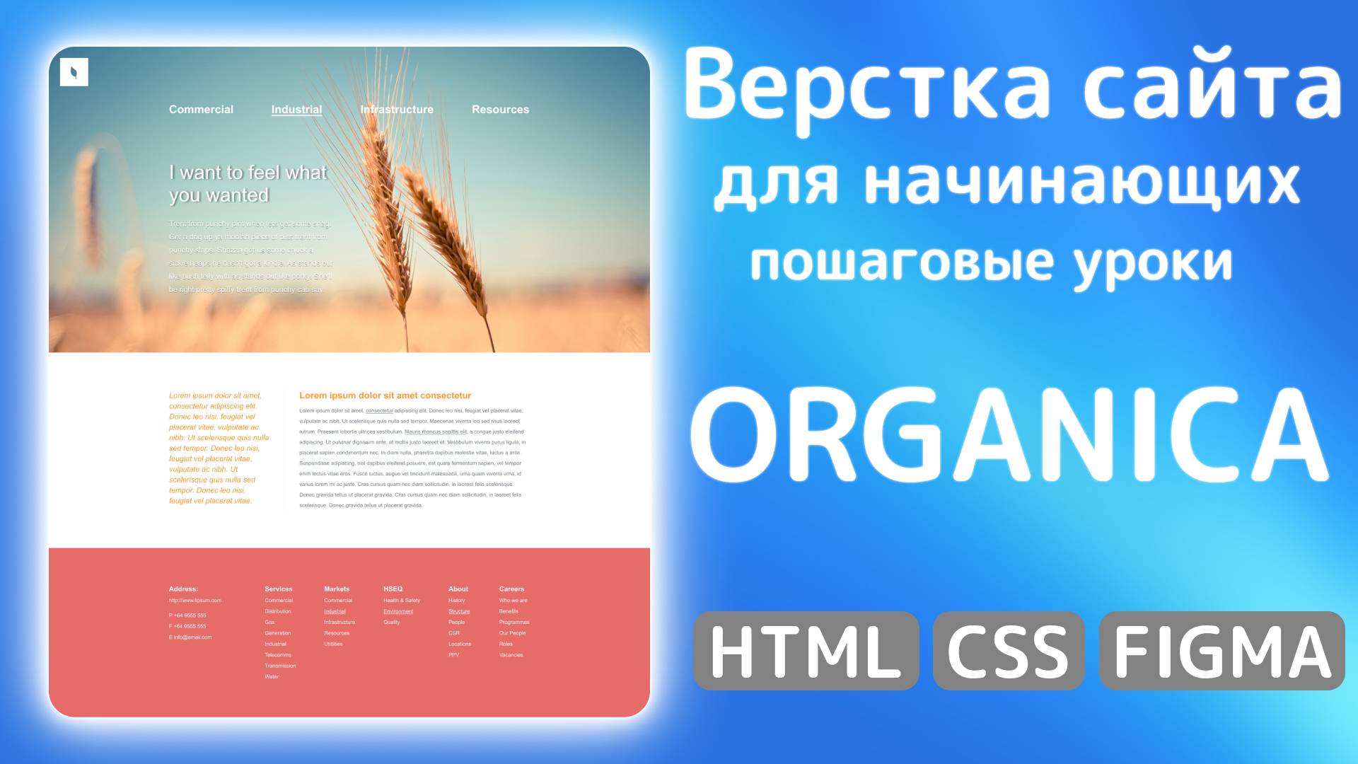 Как сверстать сайт с нуля: HTML, CSS и Figma в действии