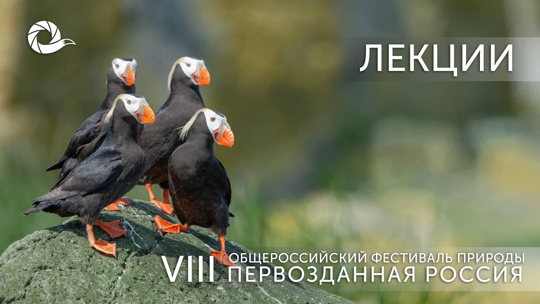 Лекции VIII Фестиваля