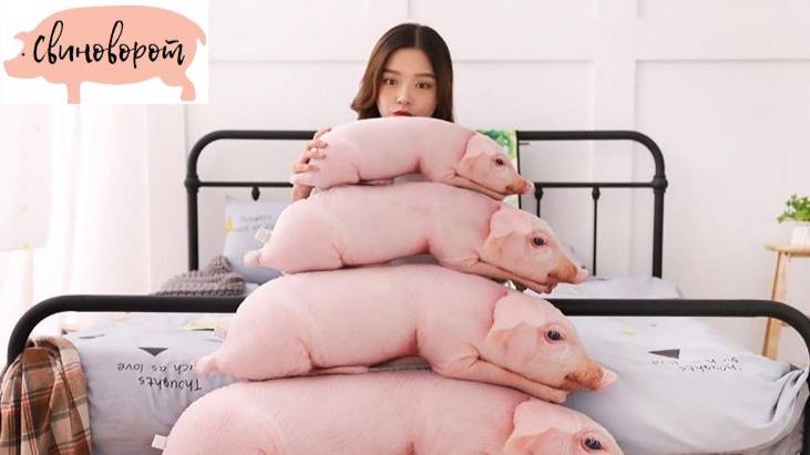 Руководство по свиноводству (Swine Husbandry Manual ) 2021