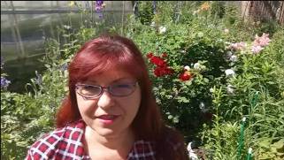 Цветы, сад, огород, дача в Сибири