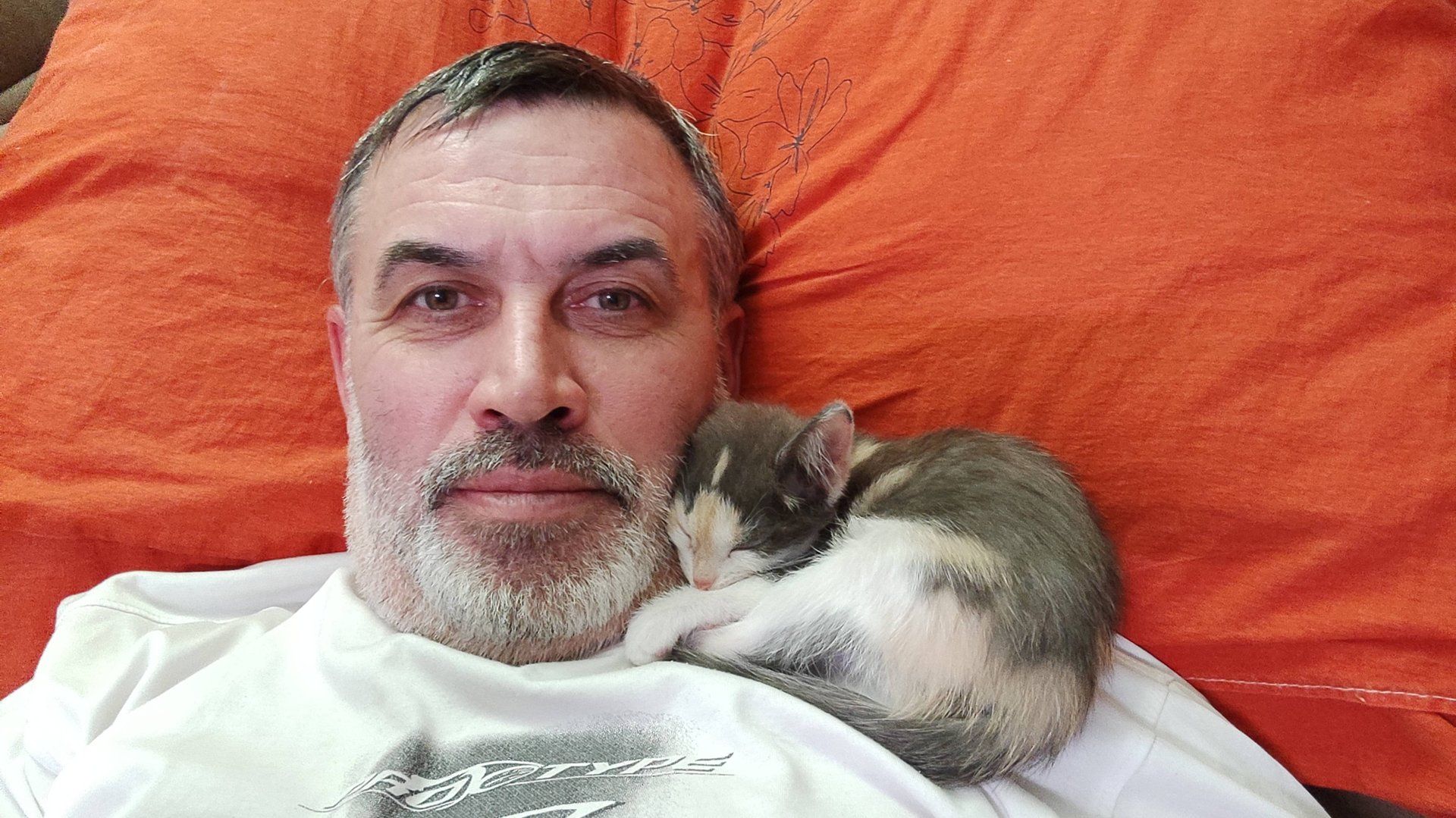 Братья (а некоторые даже сестры) наши меньшие