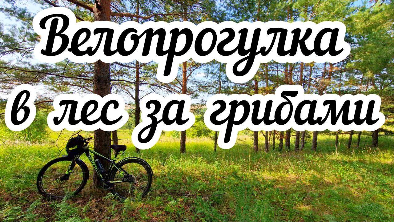 Велопрогулки