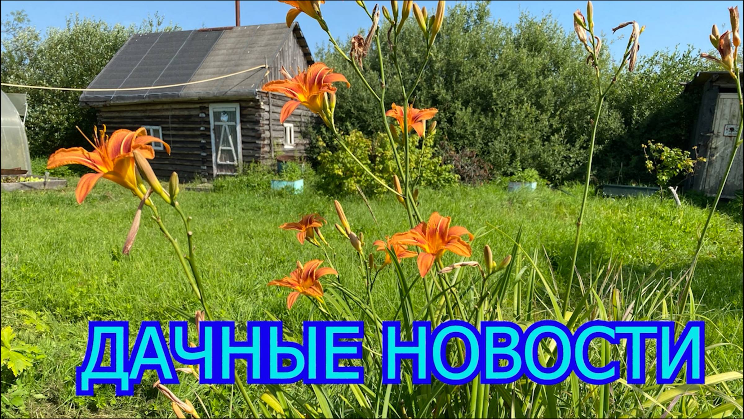Дачные новости