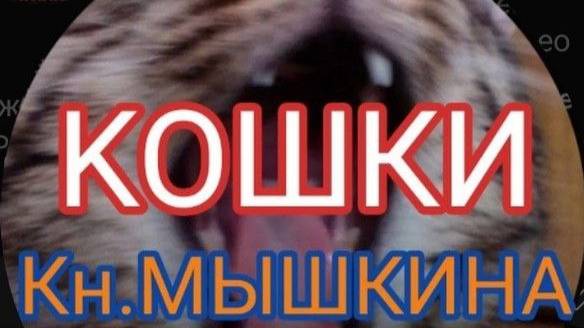 КОШКИ КНЯЗЯ МЫШКИНА 238