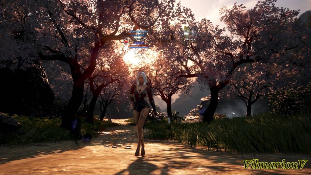 BDO (Black Desert Online - MMORPG)