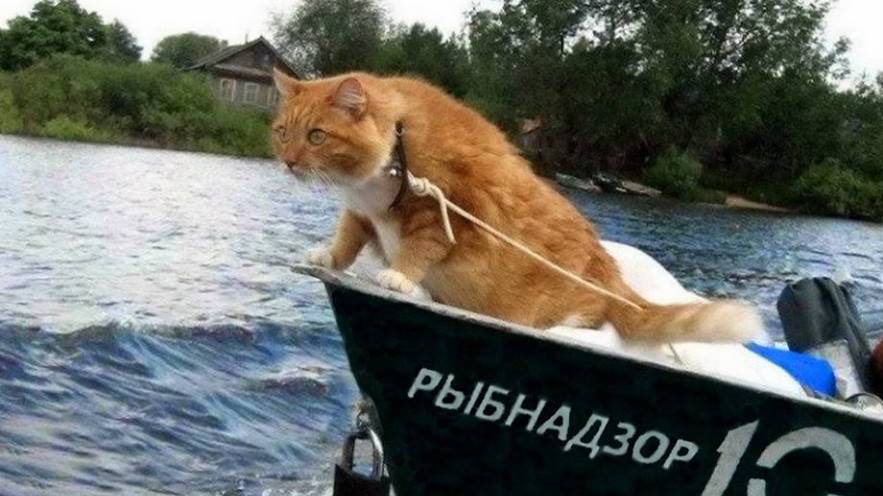 Рыбалка