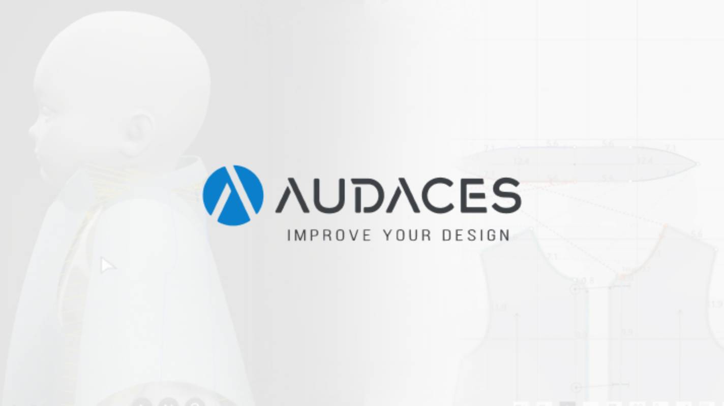 Программное обеспечение AUDACES