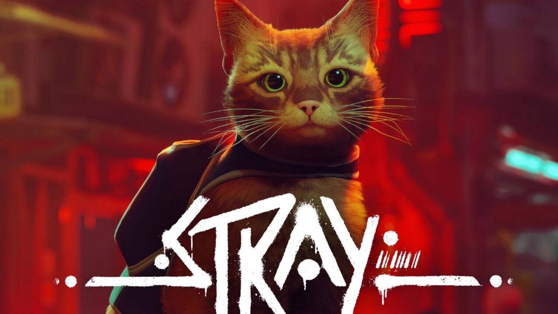 Stray