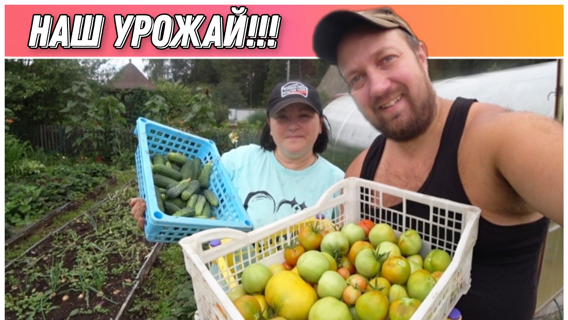 Дача, сад, огород