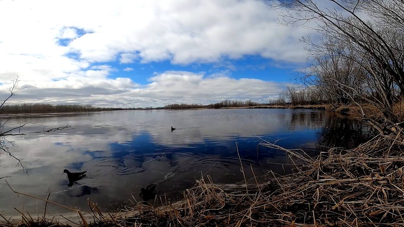 Рыбалка по открытой воде в сезоне 2021 года