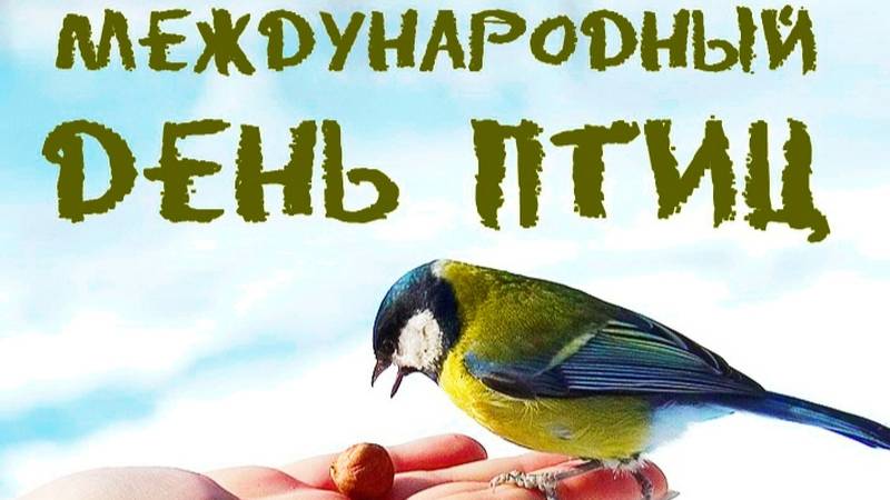 Акция «Про птиц»