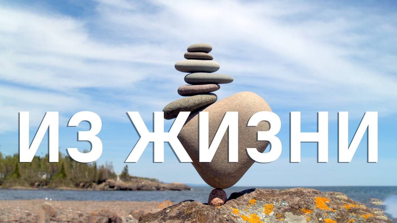 Из жизни
