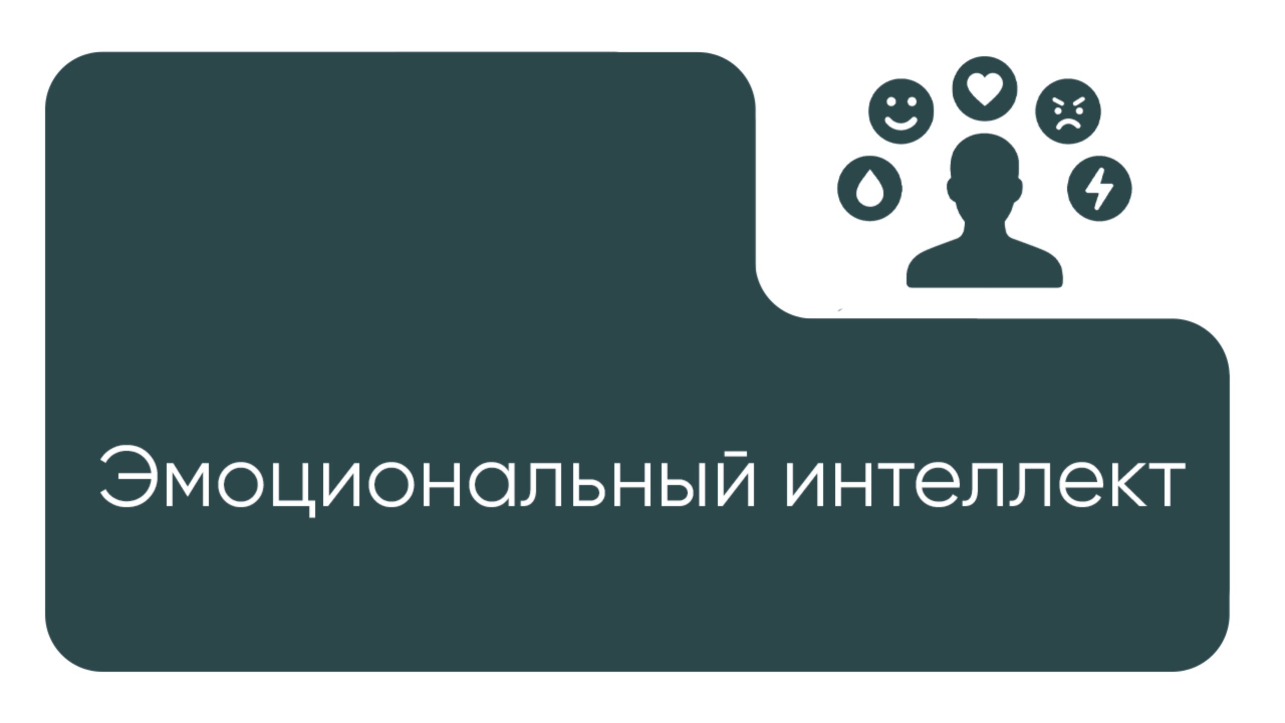 ЭМОЦИОНАЛЬНЫЙ ИНТЕЛЛЕКТ ЛИДЕРА