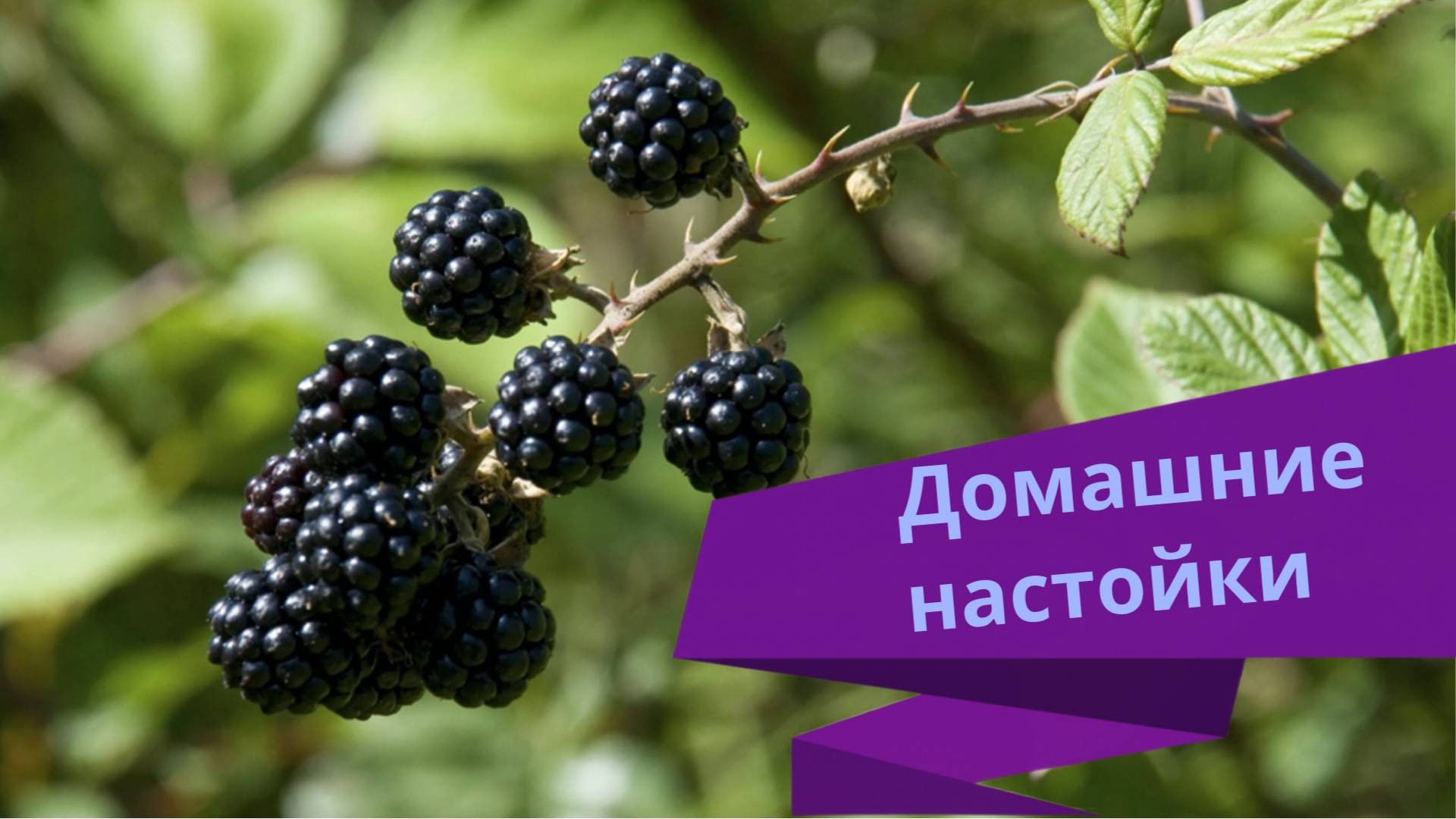 Домашние настойки