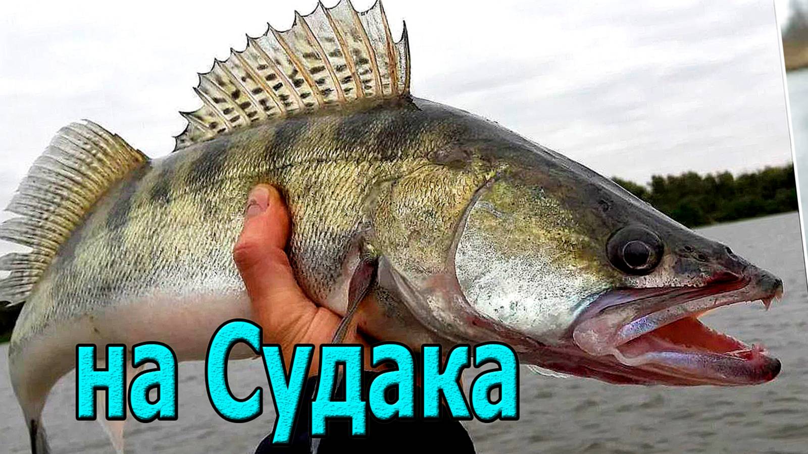 воблеры на Судака - с Алиэкспресс