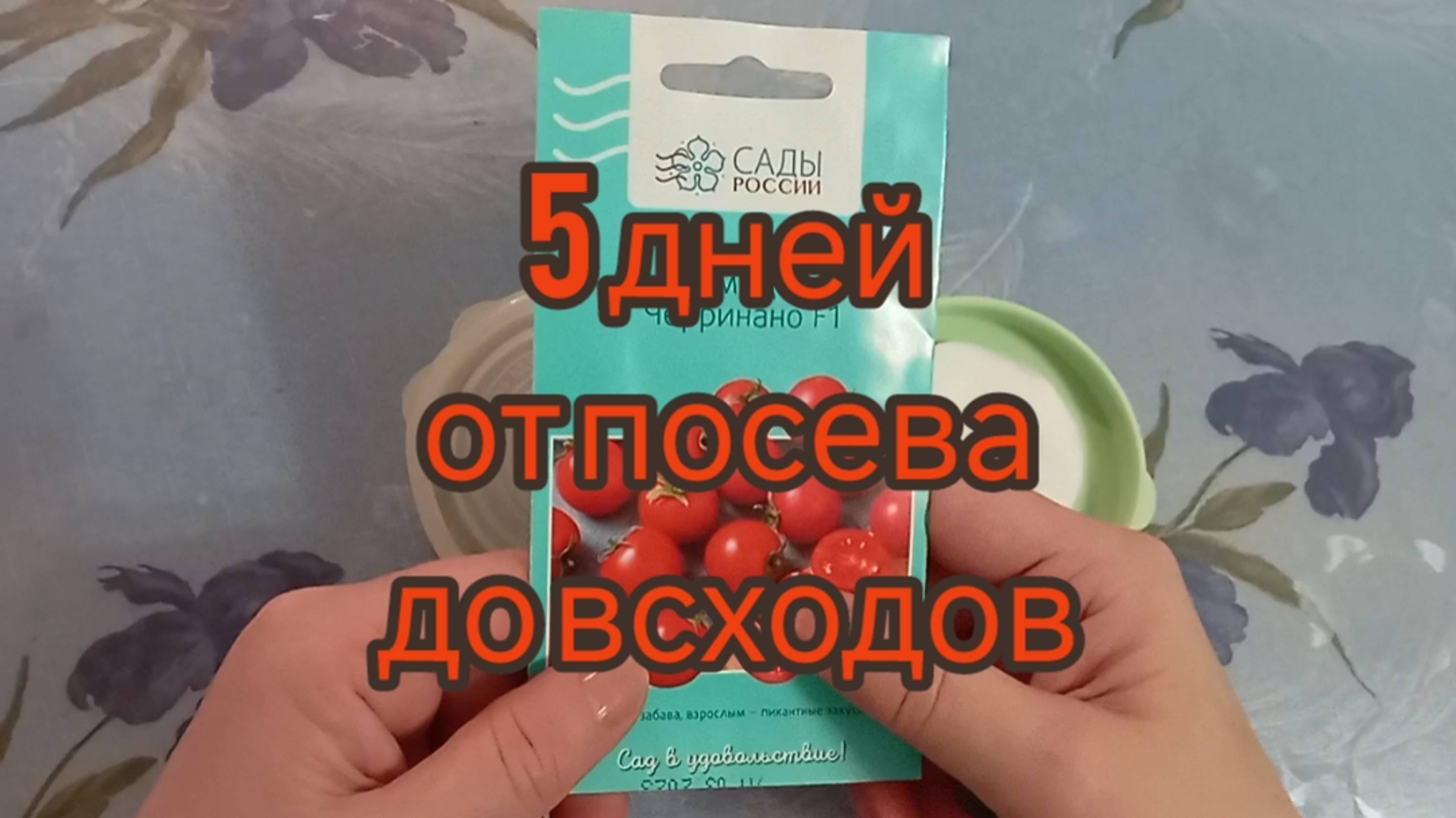 Огород на подоконнике