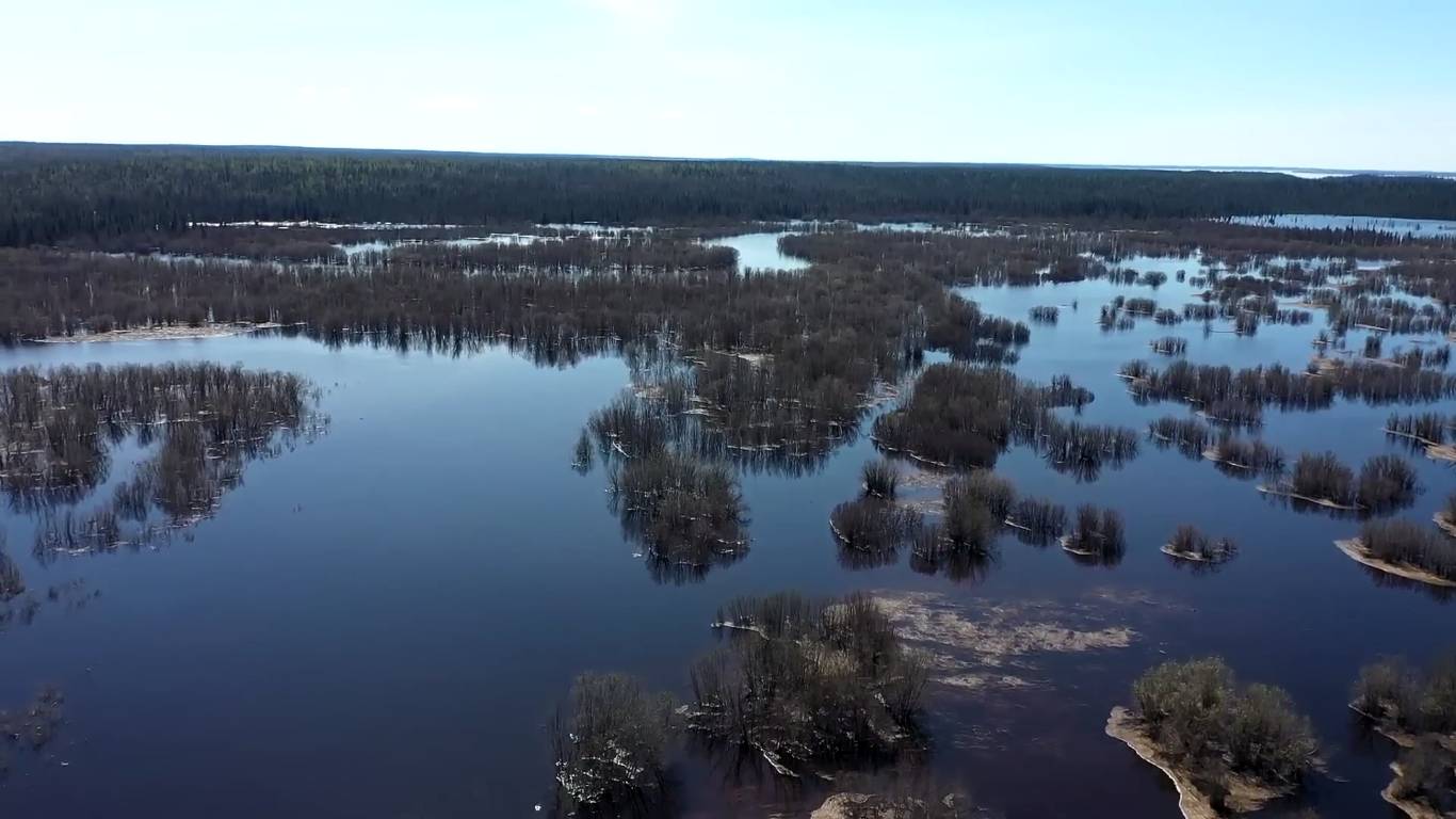 Рыбалка по жидкой воде. 2022 год