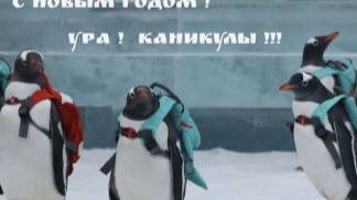 ВШК 2024/2025