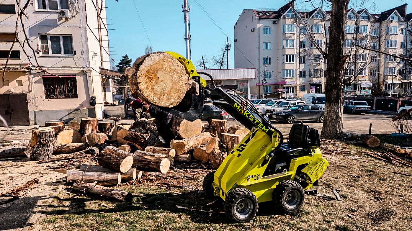 СЕЛЬСКОЕ ХОЗЯЙСТВО С МАКСТЕМ