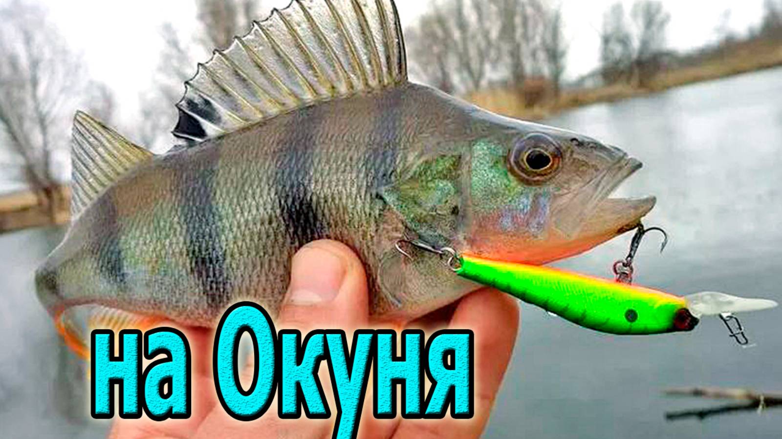воблеры на Окуня - с Алиэкспресс