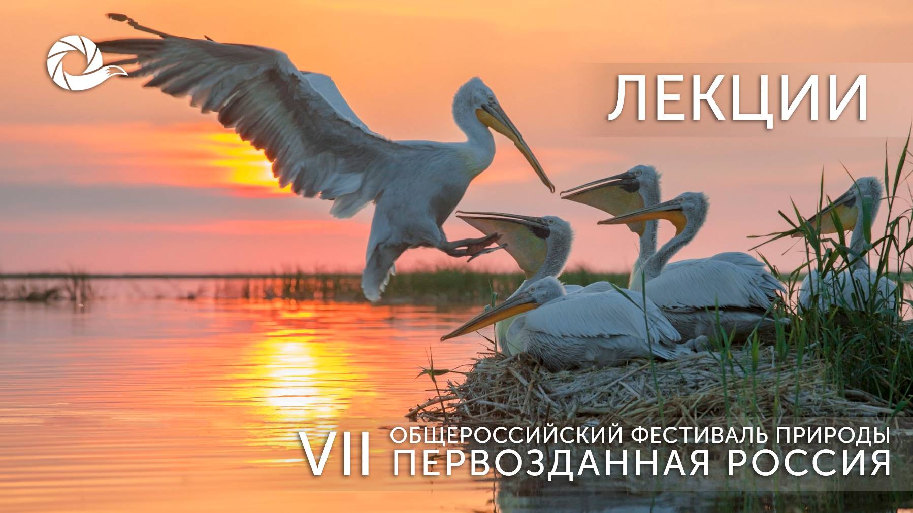 Лекции VII Фестиваля