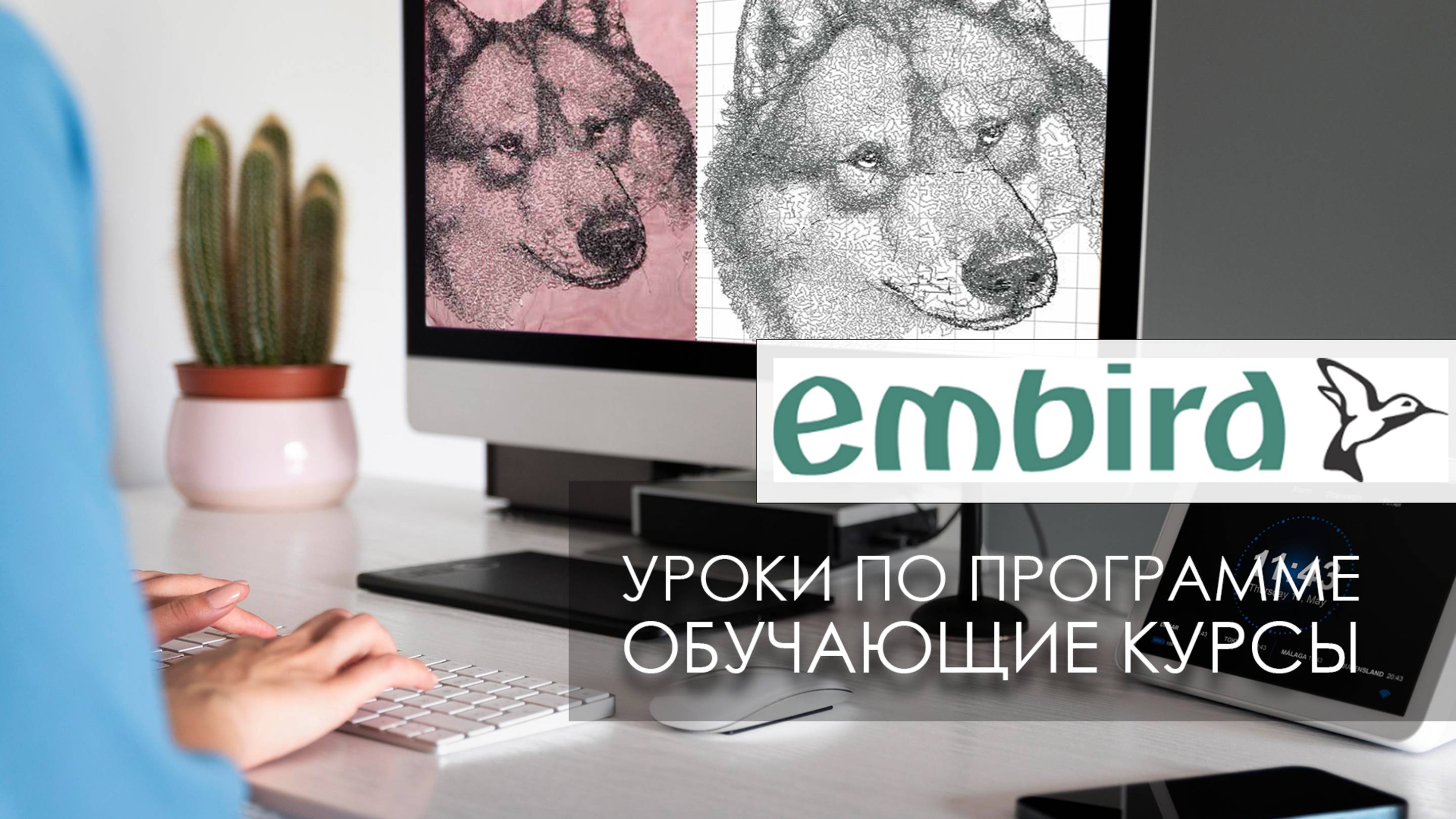 Уроки EMBIRD (все версии)