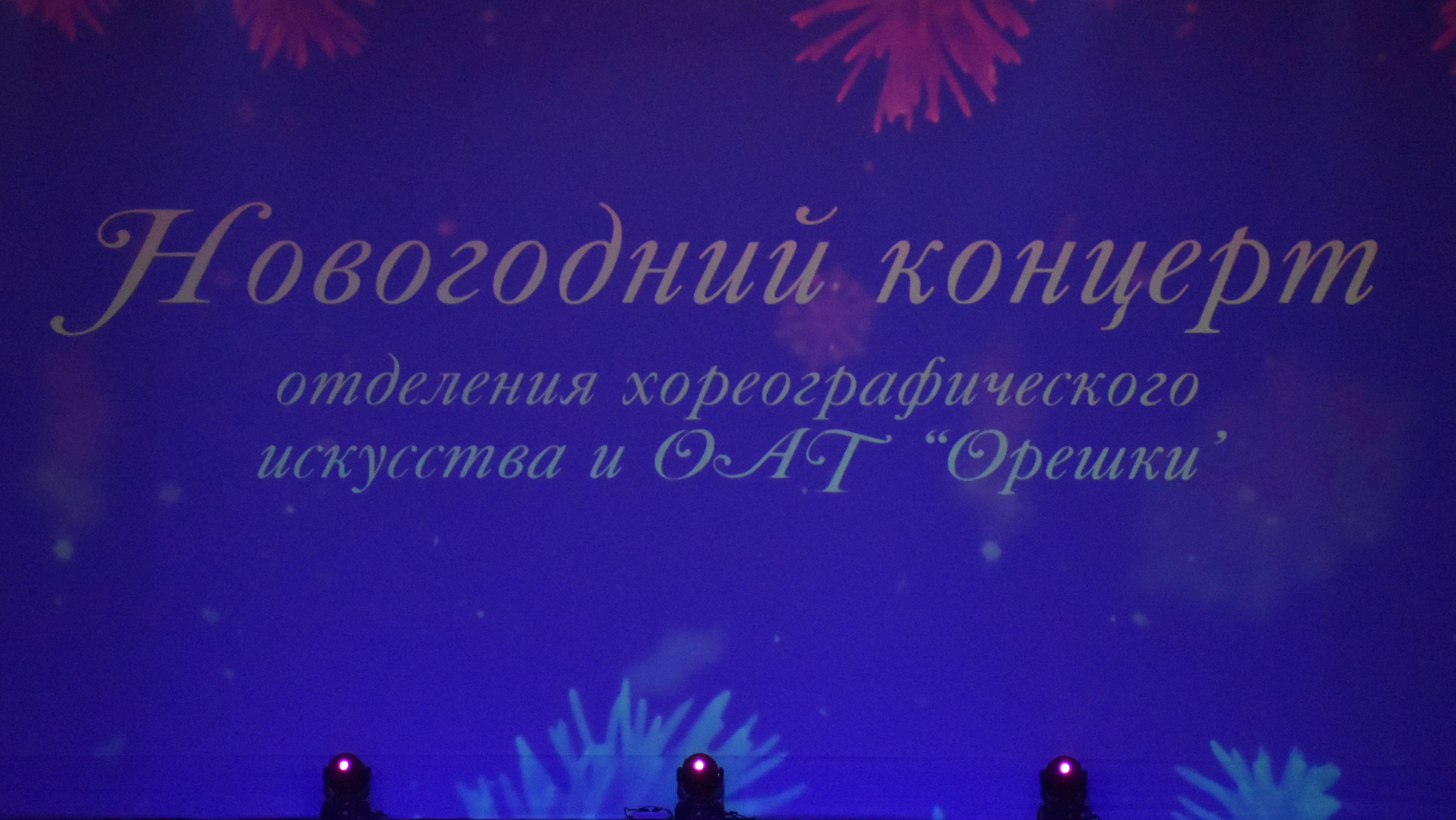 Новогодний концерт 28 дек 2024г.