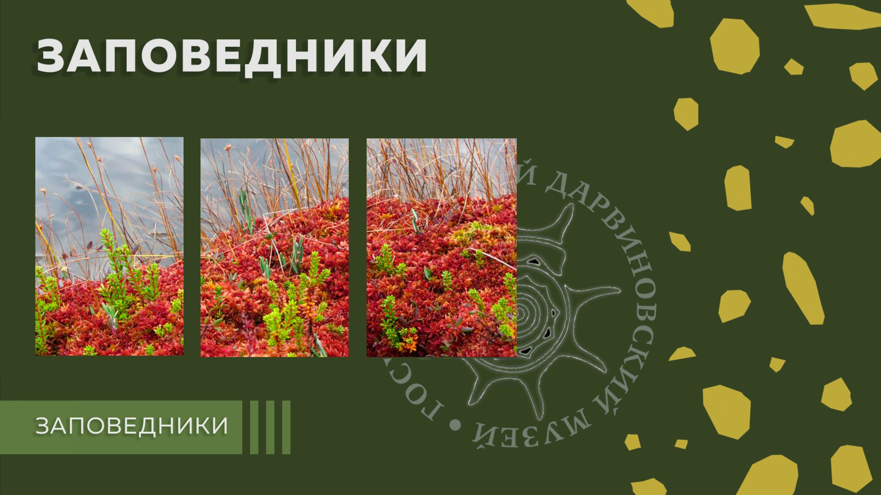 ЗАПОВЕДНИКИ