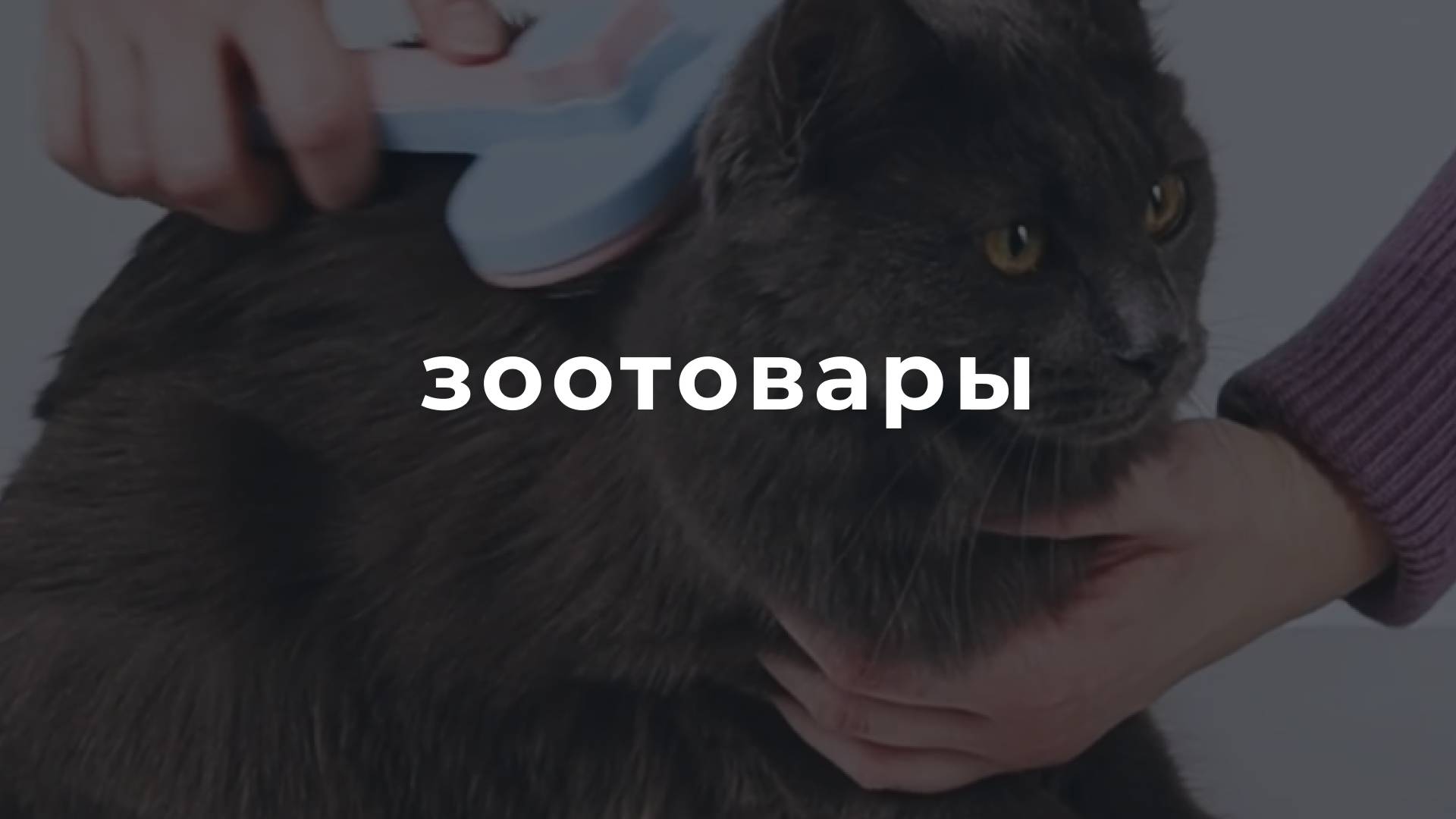 Товары для животных