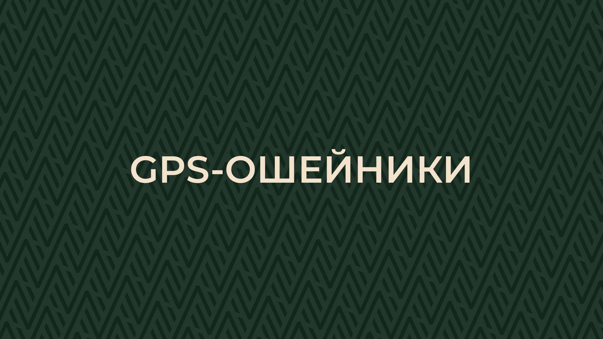 GPS-ошейники