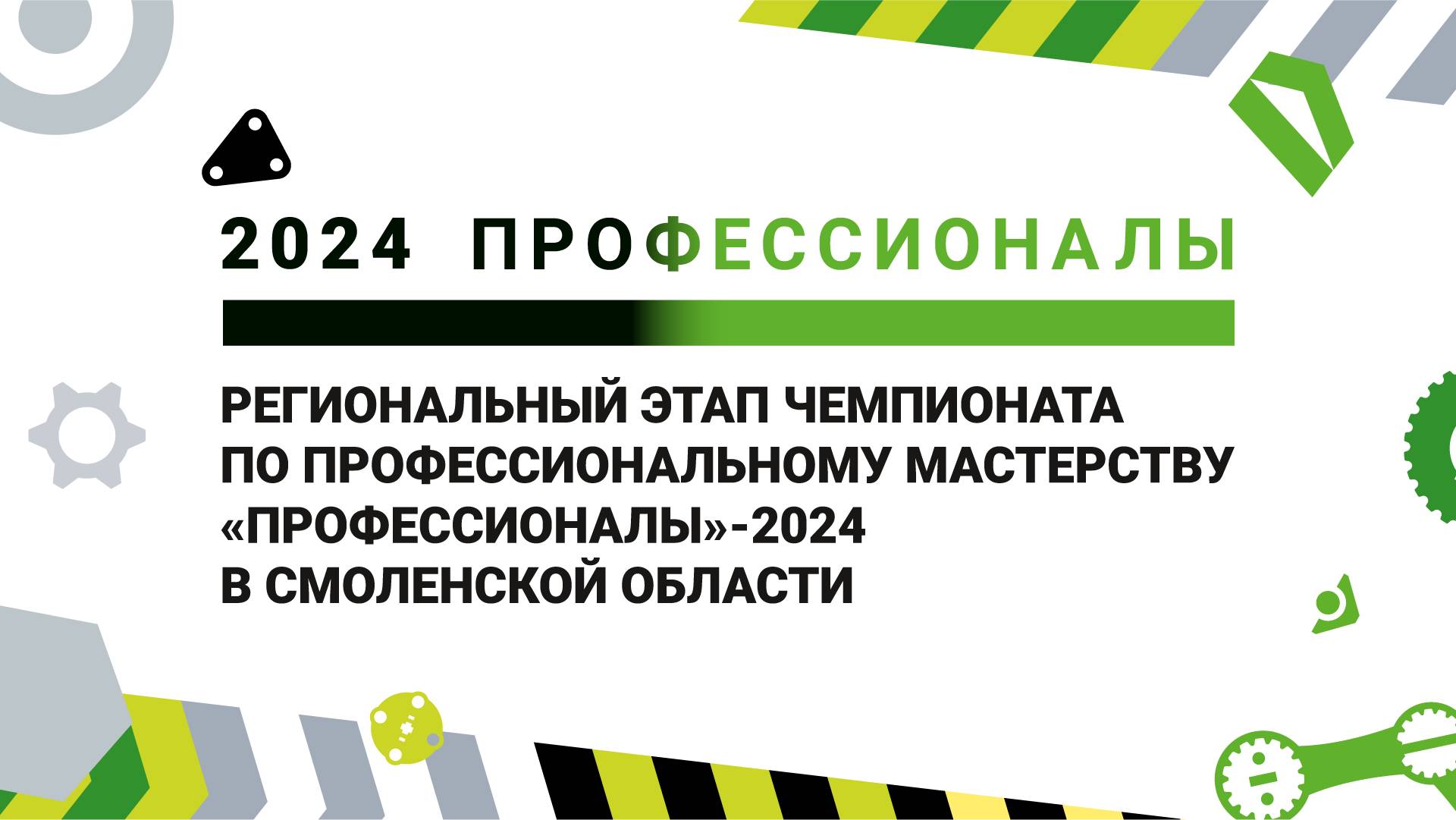 Профессионалы 2024