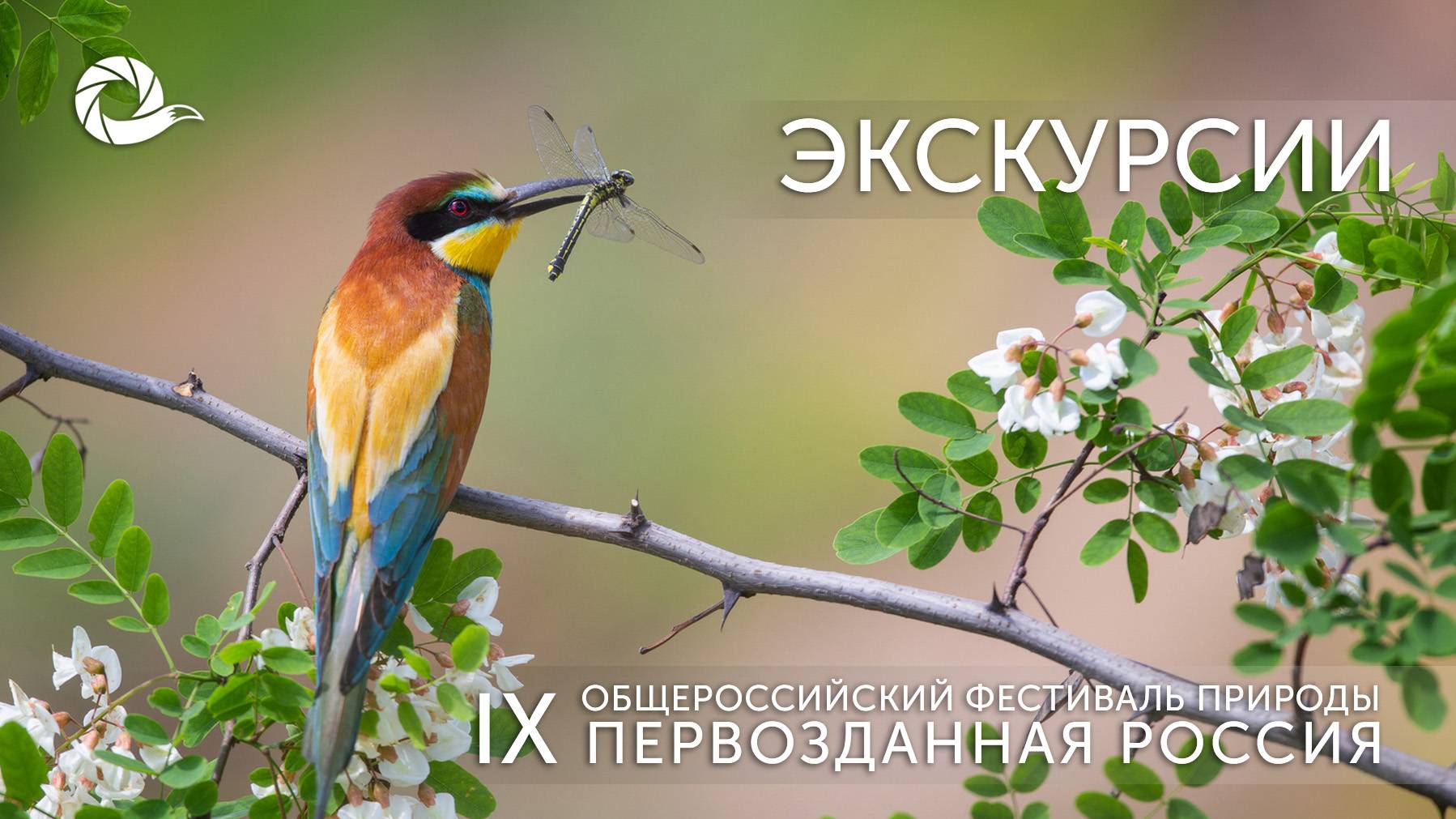 Экскурсии по IX Фестивалю
