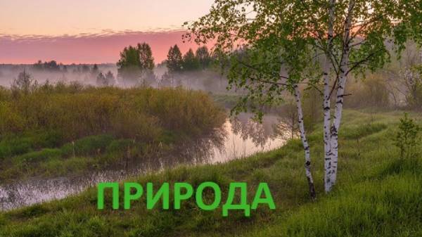 ПРИРОДНЫЕ ЯВЛЕНИЯ