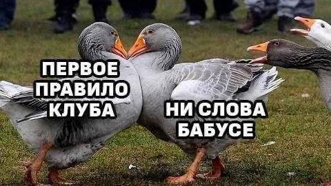 Юмор