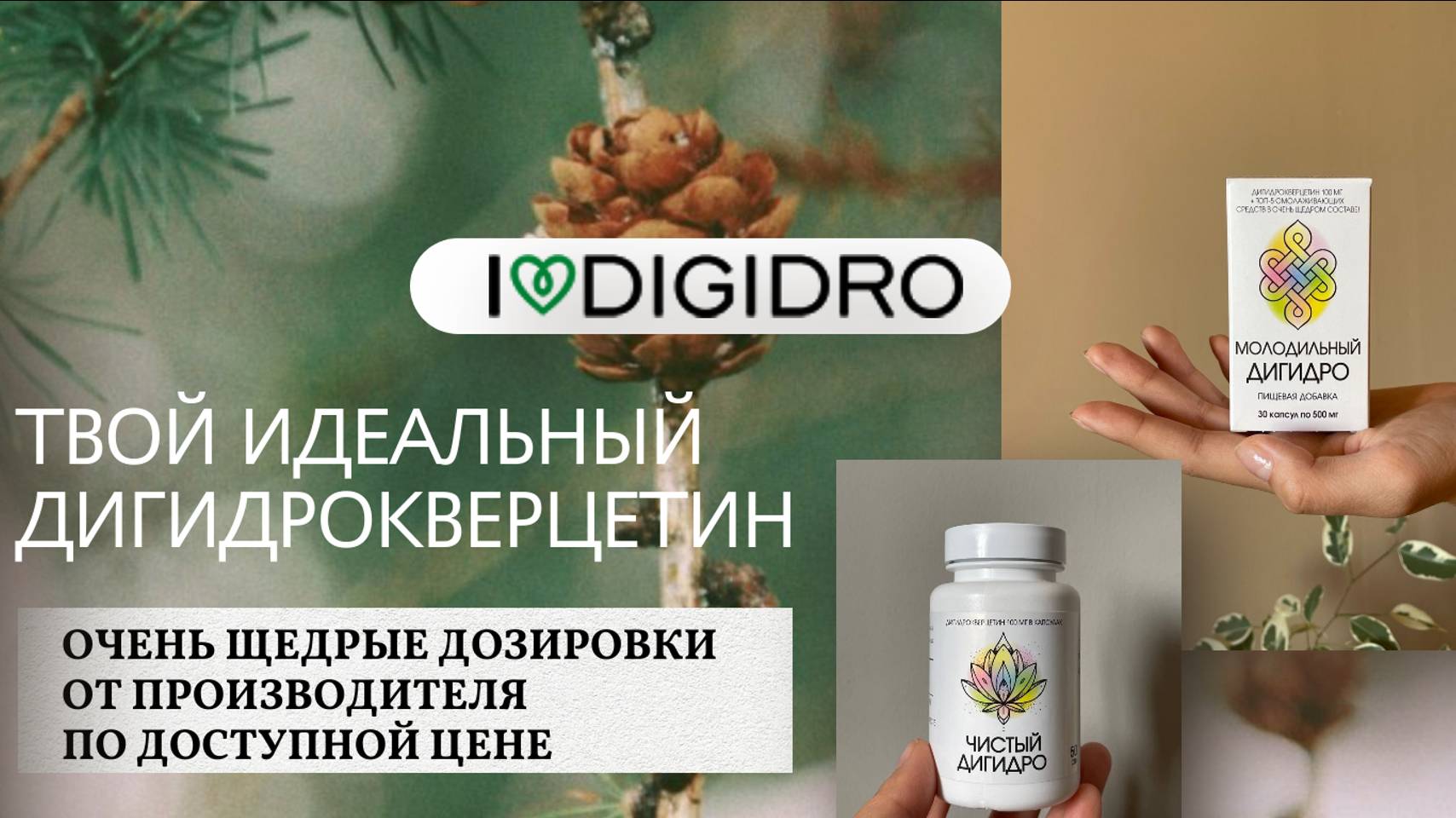 Мой дигидрокверцетин