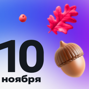 10 ноября