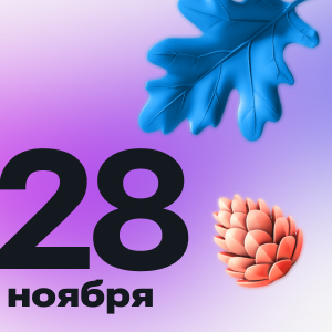 28 ноября