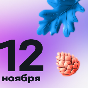 12 ноября