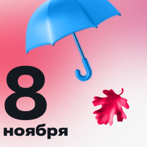8 ноября