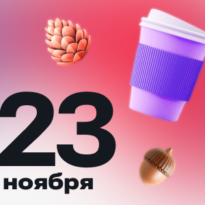 23 ноября