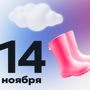 14 ноября