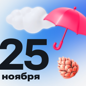 25 ноября