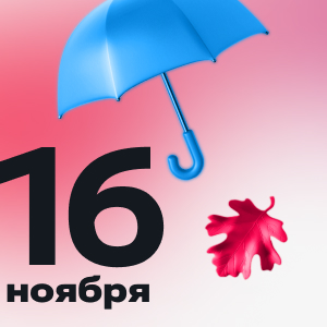 16 ноября