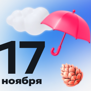 17 ноября