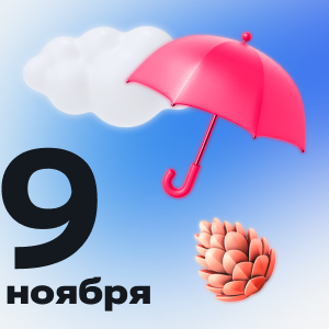 9 ноября