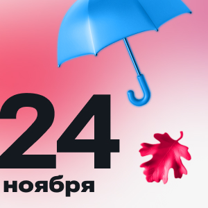24 ноября