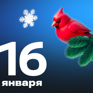16 января