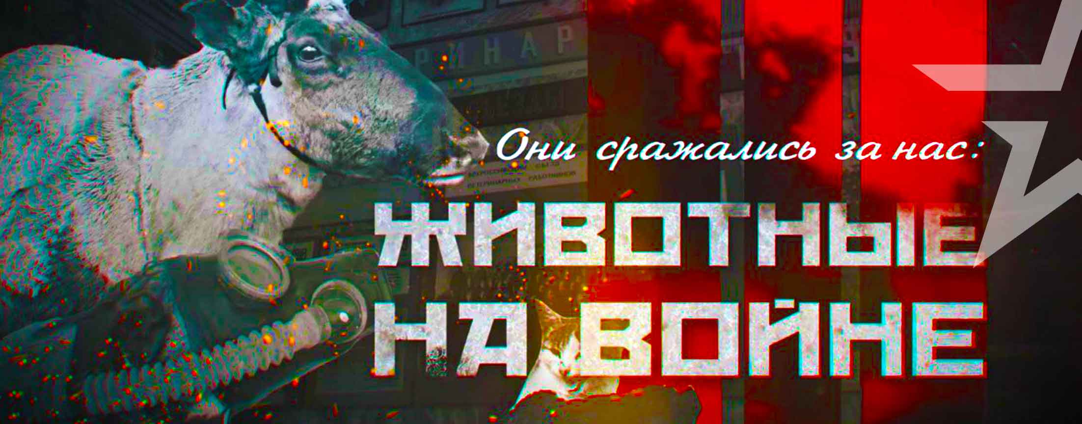 Они сражались за нас: животные на войне