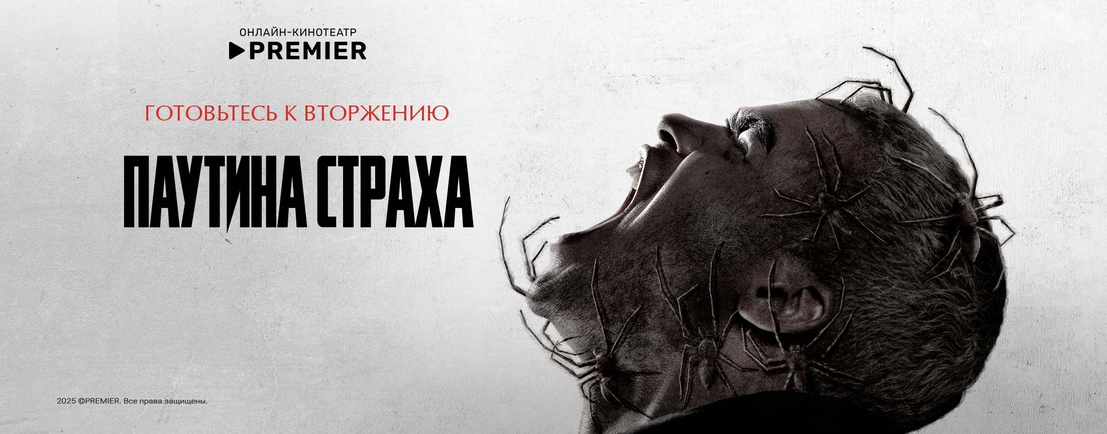 Паутина страха | PREMIER