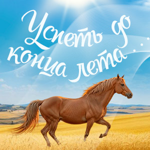 УСПЕТЬ ДО КОНЦА ЛЕТА